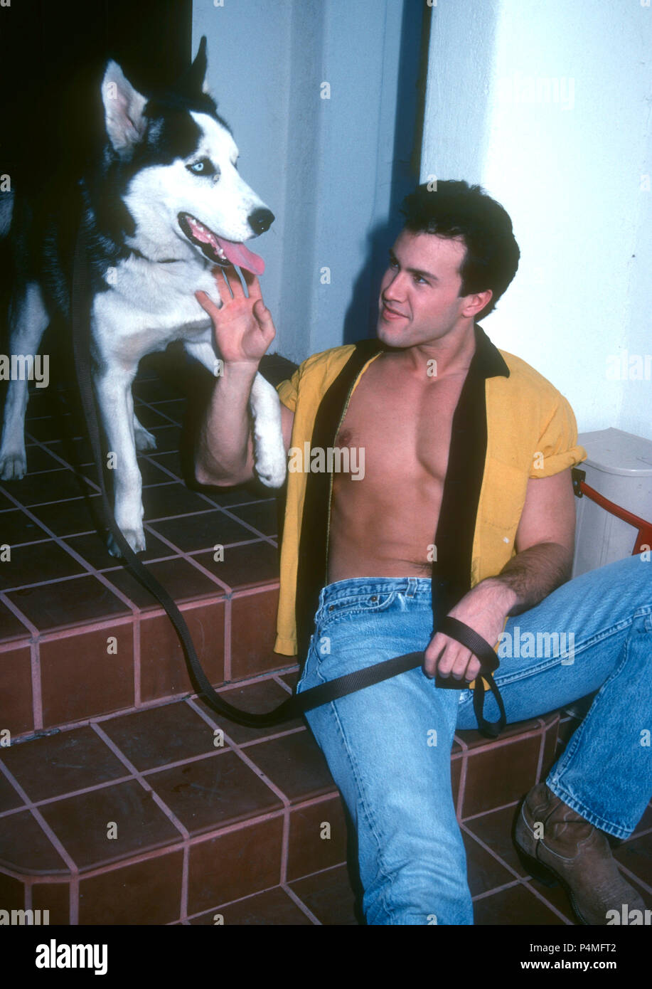 Harry and the hendersons hi-res stock photography and images - Alamy