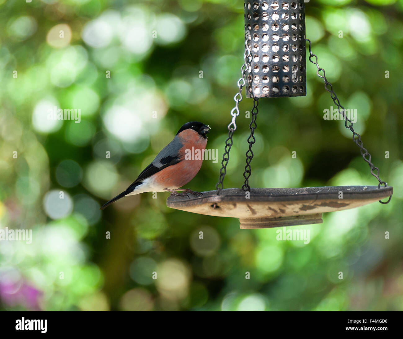 Tre crown hi-res stock photography and images - Alamy