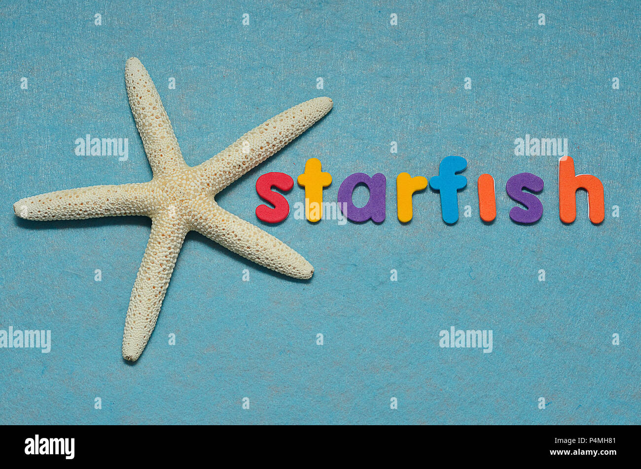 Wordstar Blue Background