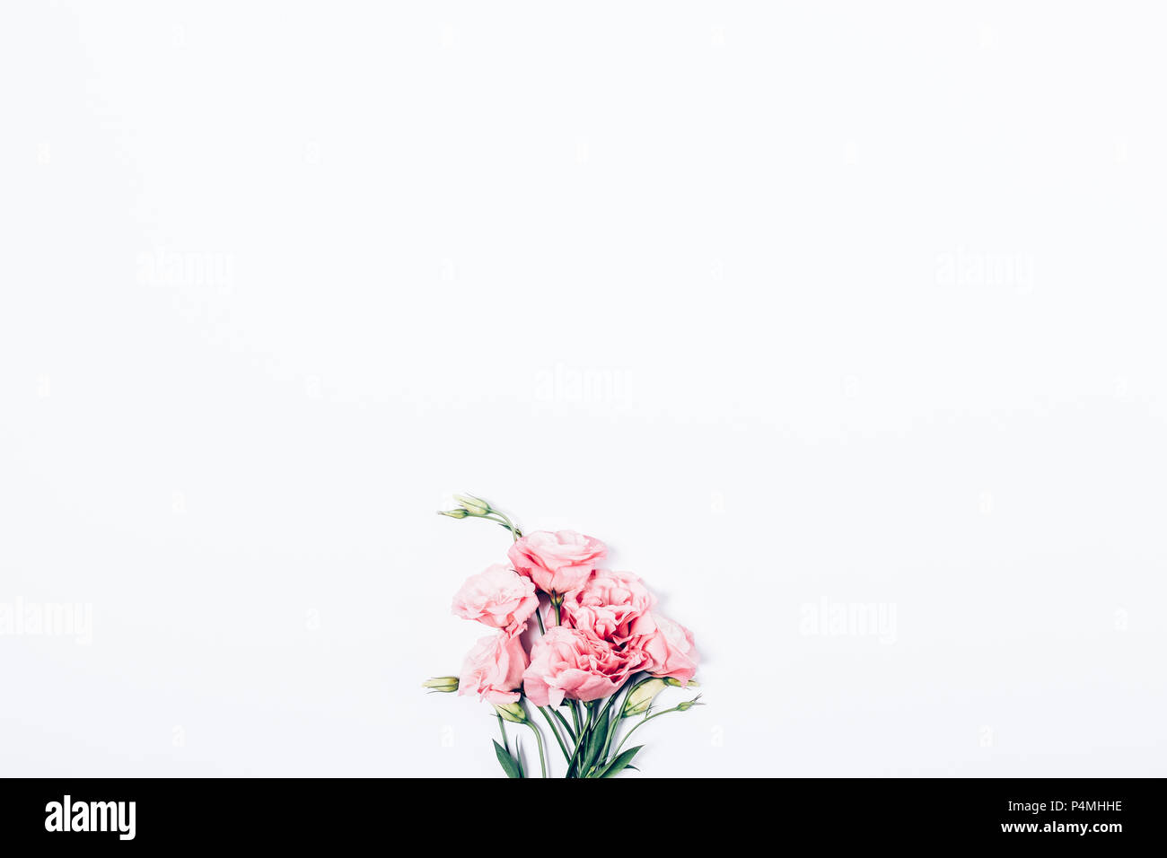 Bouquet of blooming pink flowers placed in the bottom of white ...