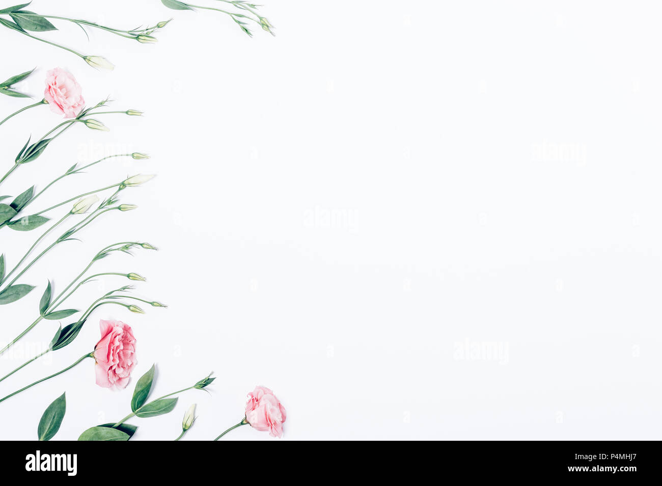 Floral flat lay frame of pink flowers on white background. Side border ...