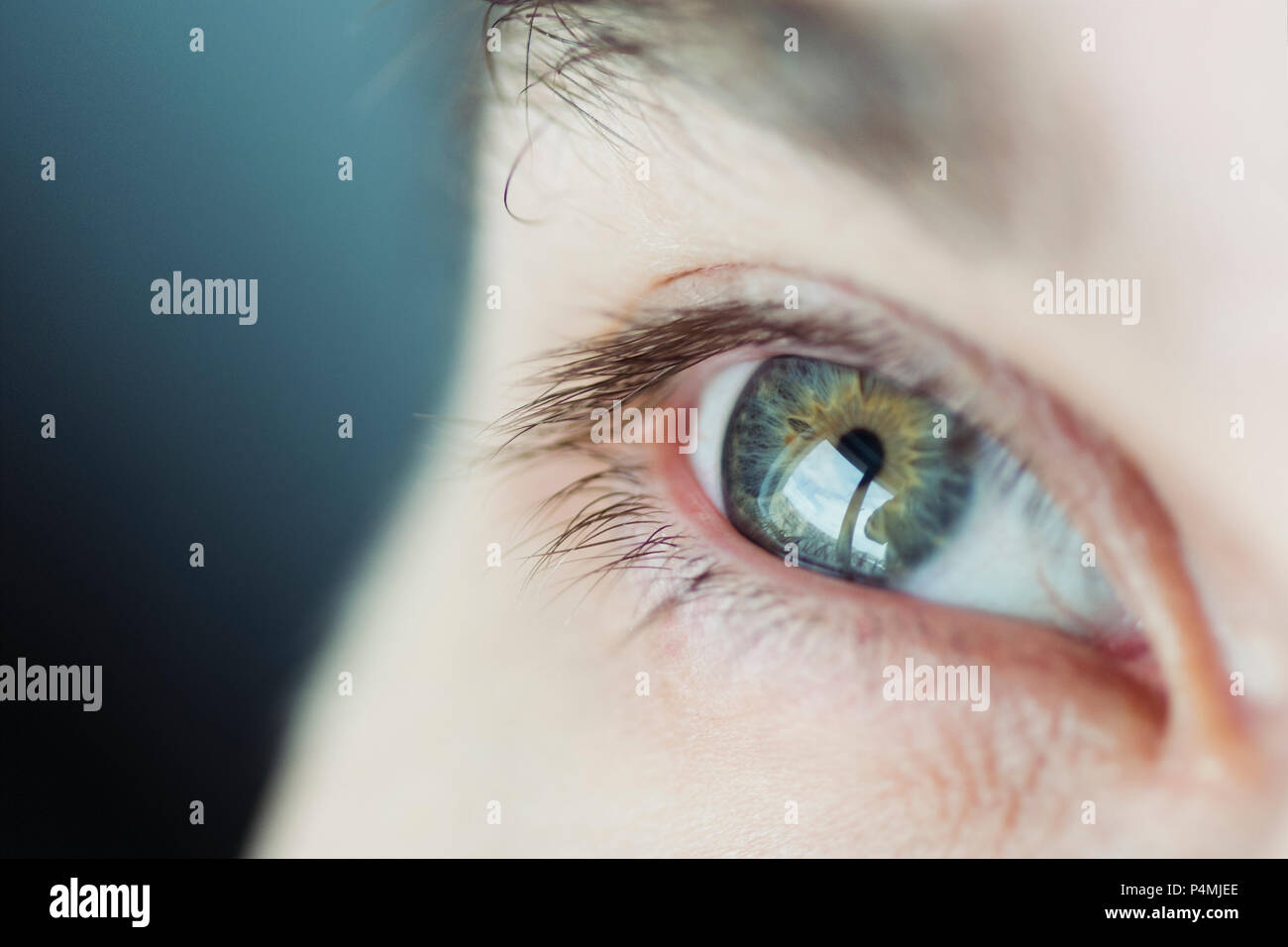 Shallow focus close view of green hi-res stock photography and images ...