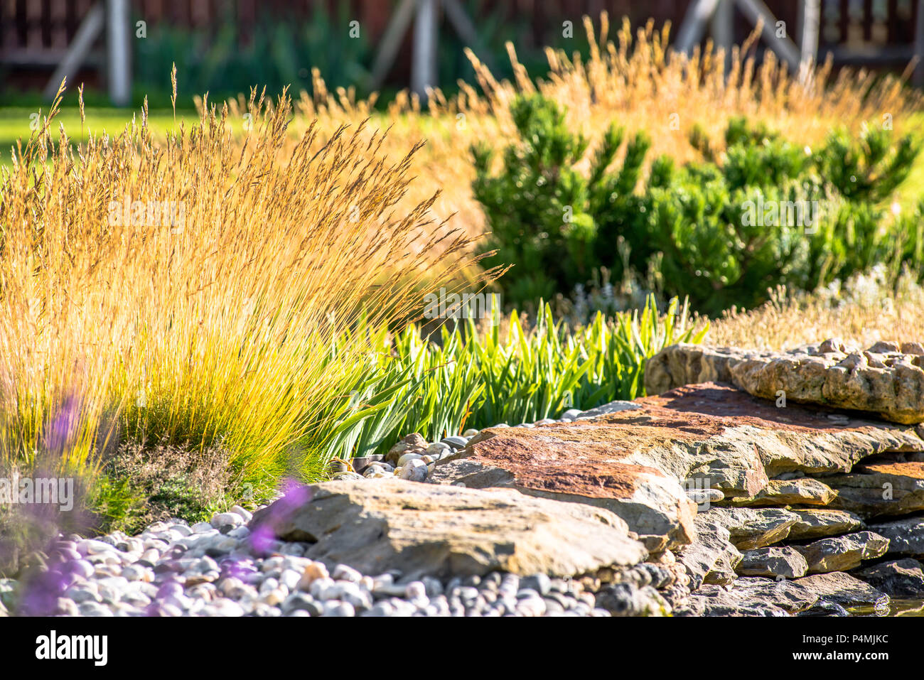 beautiful landscaping with beautiful plants and flowers Stock Photo - Alamy