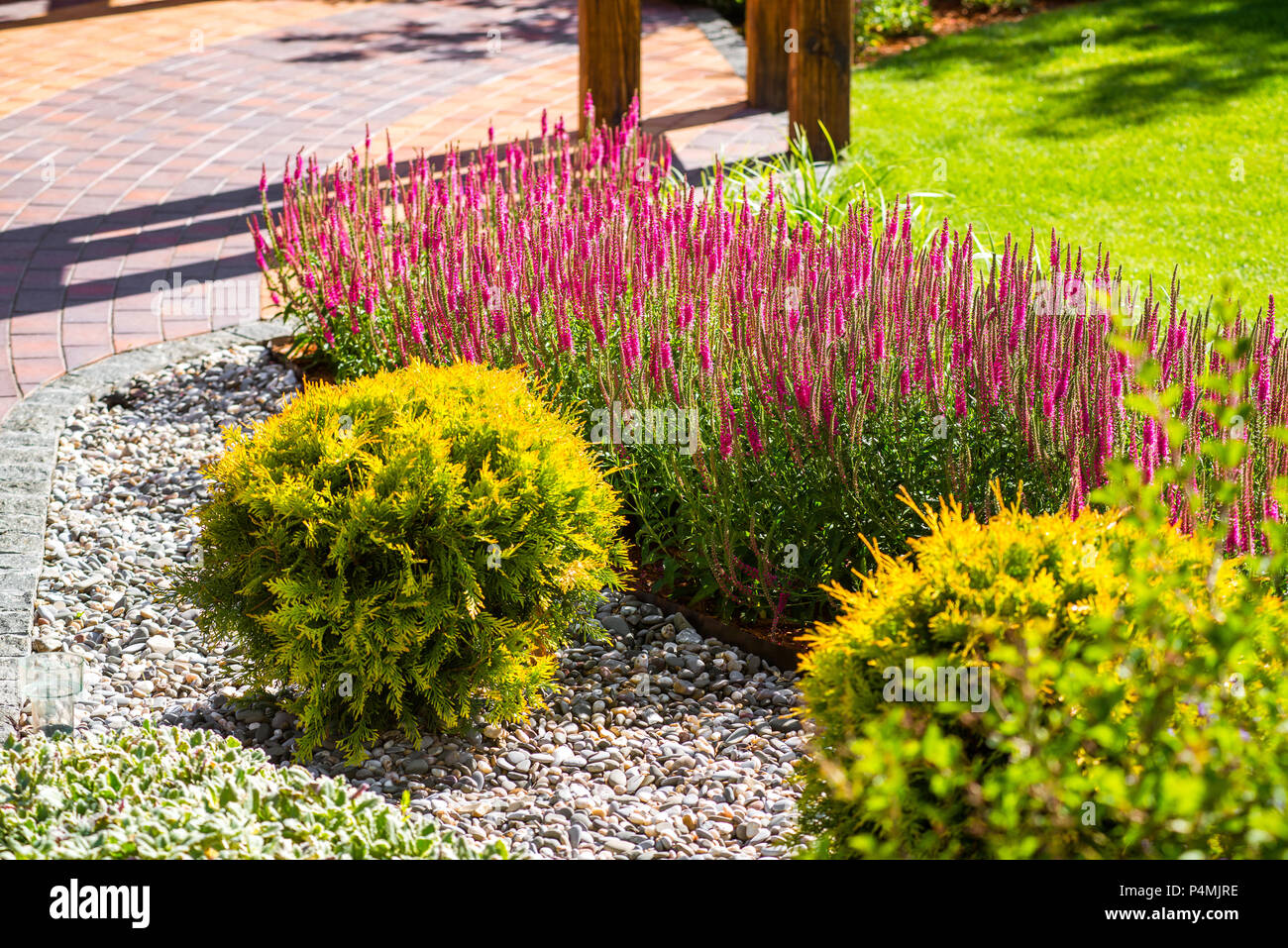 beautiful landscaping with beautiful plants and flowers Stock Photo - Alamy