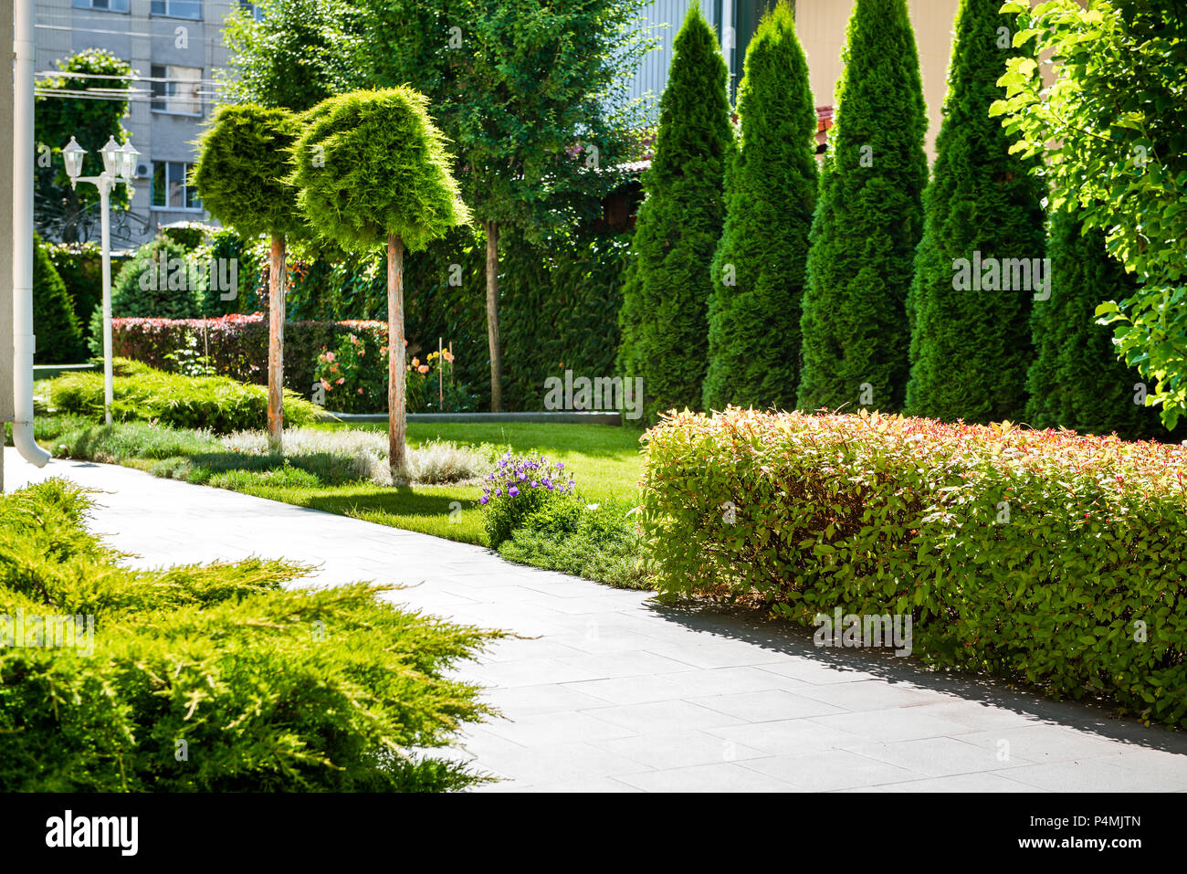 beautiful landscaping with beautiful plants and flowers Stock Photo - Alamy