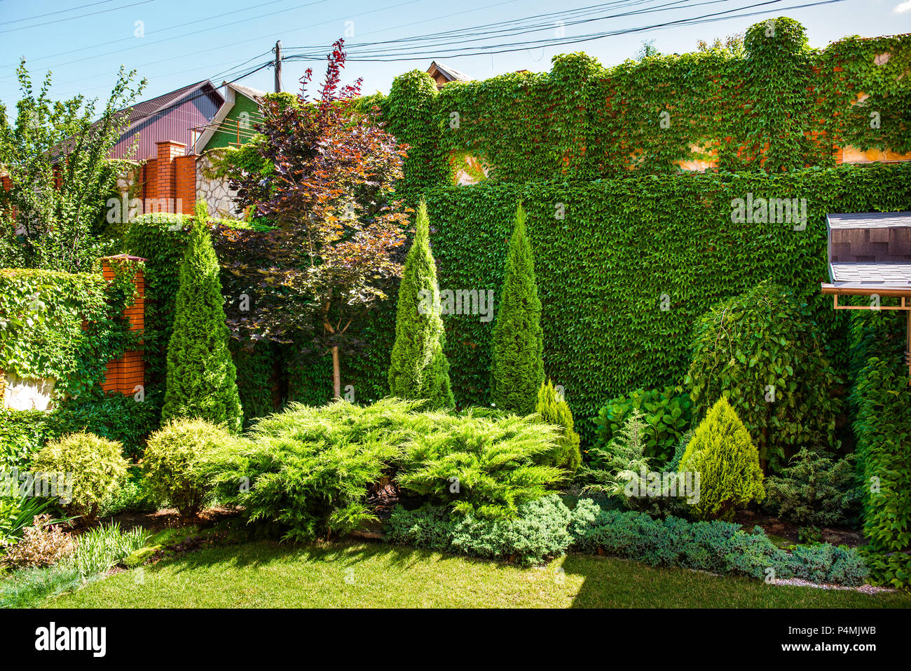 beautiful landscaping with beautiful plants and flowers Stock Photo - Alamy