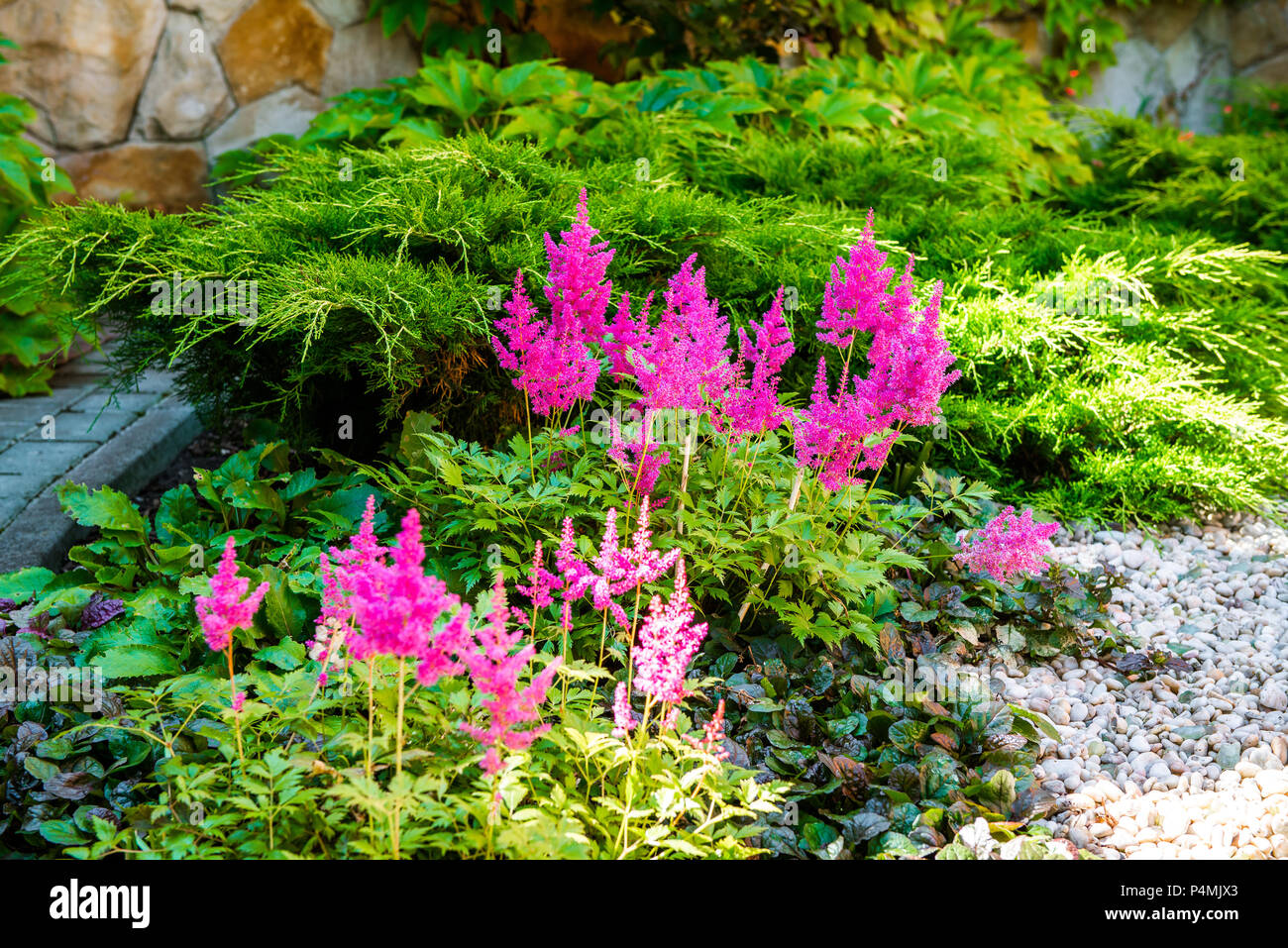 beautiful landscaping with beautiful plants and flowers Stock Photo - Alamy