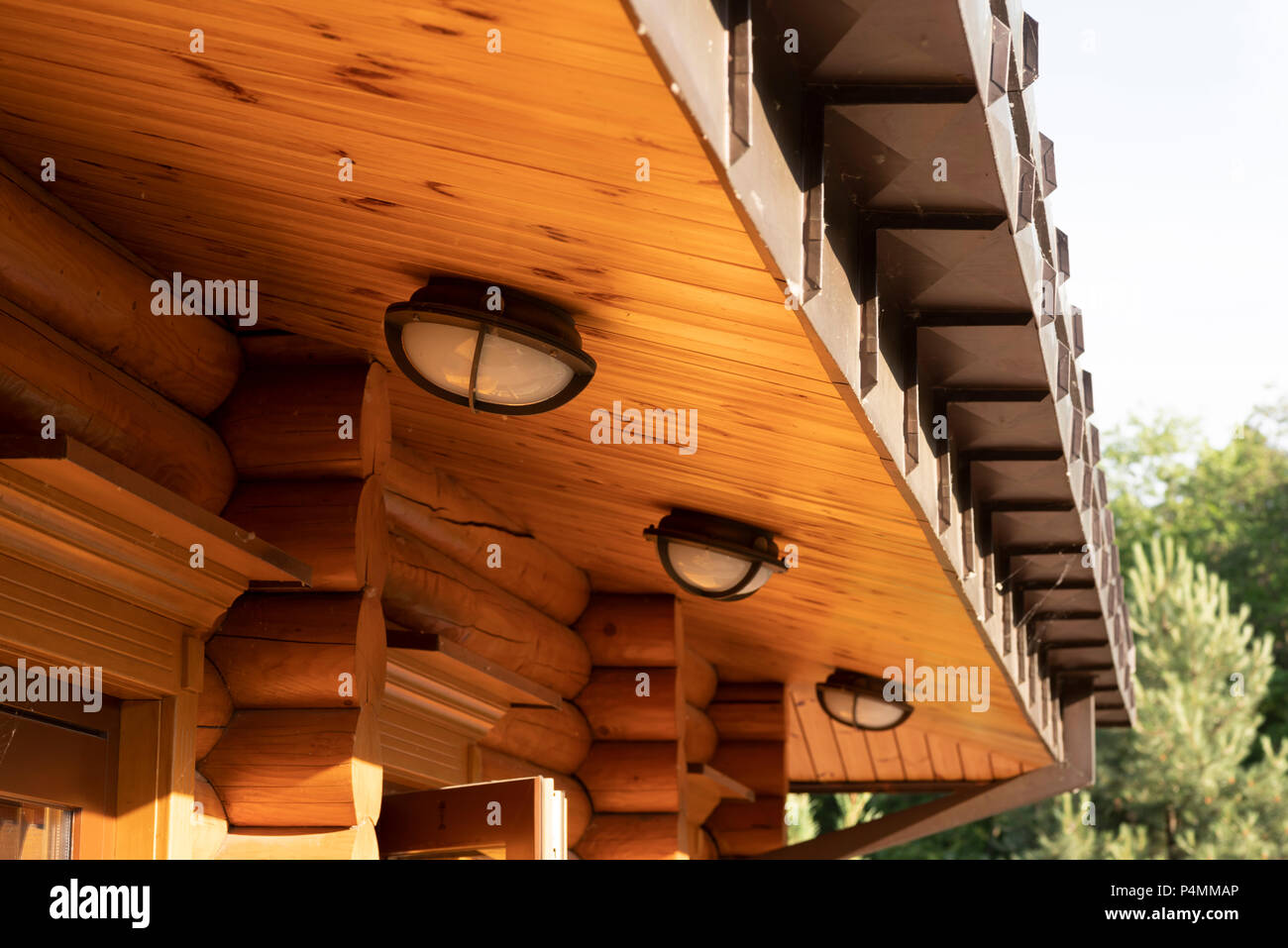The canopy of the wooden roof of the building made of log house with ...