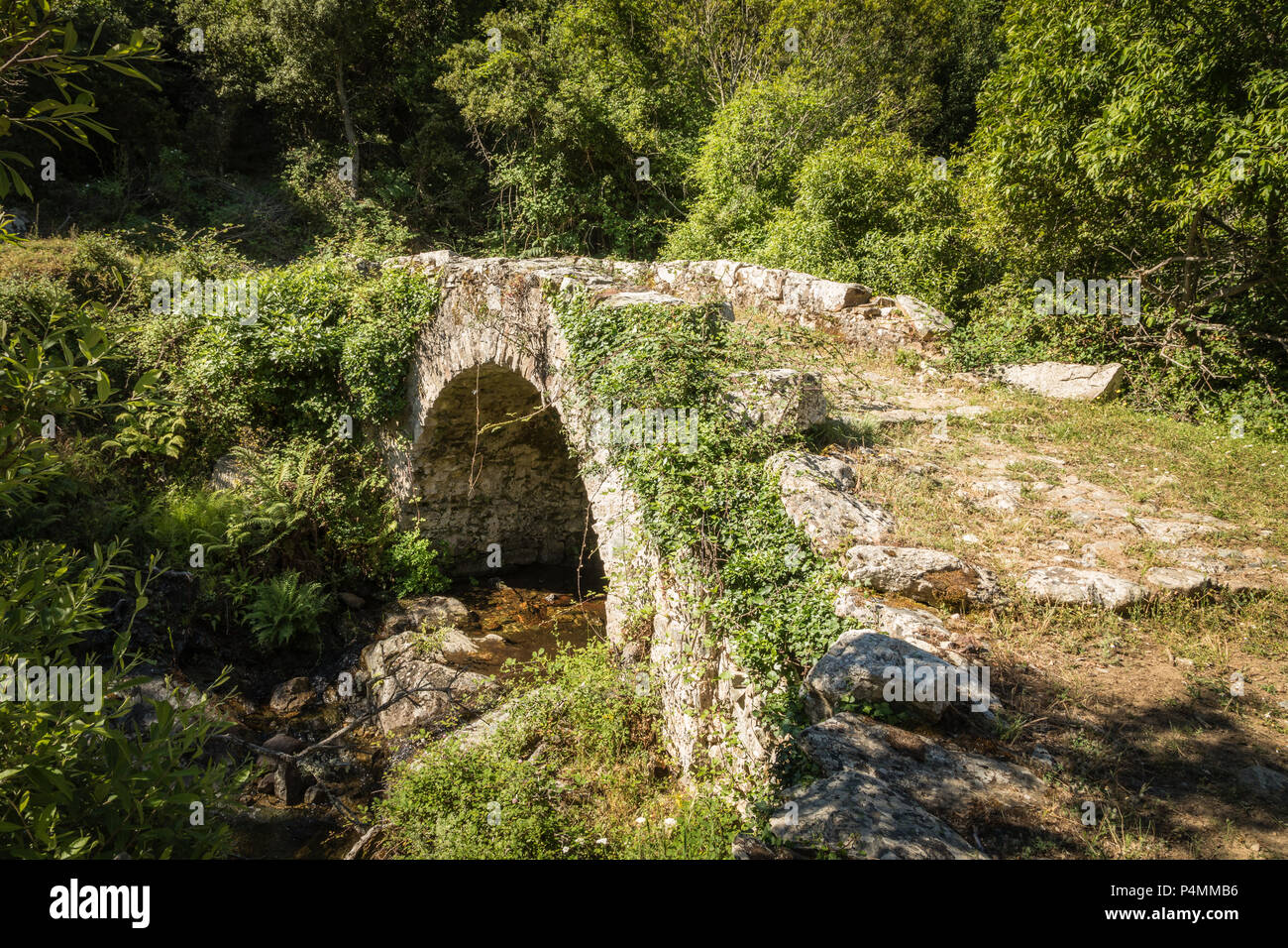 Ancient Genoese stone arch bridge crossing a small stream amongst the ...