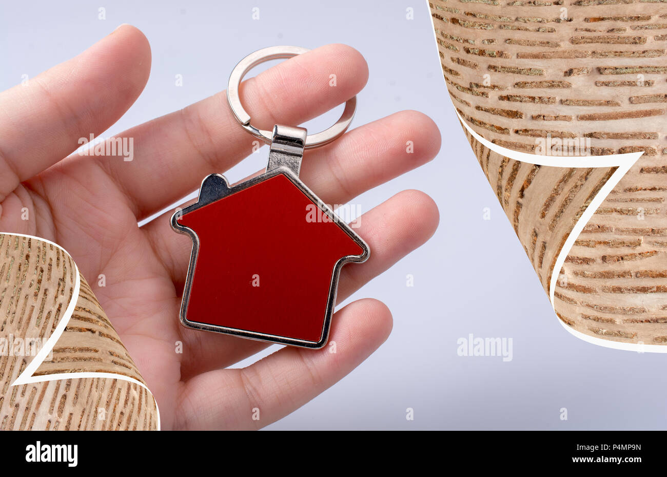 Hand holding a house icon in hand on a background Stock Photo - Alamy