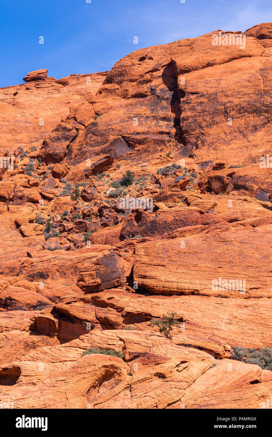 Red Rock Canyon National Conservation Area in Las Vegas Nevada USA ...