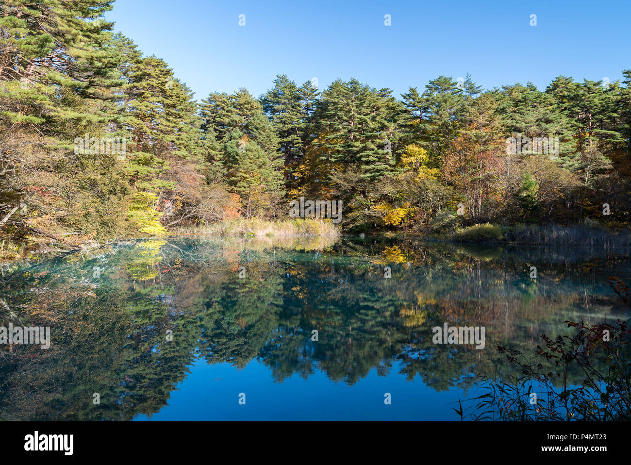 Goshiki-numa Five Colour Pond in Autumn, Urabandai, Fukushima, Japan ...