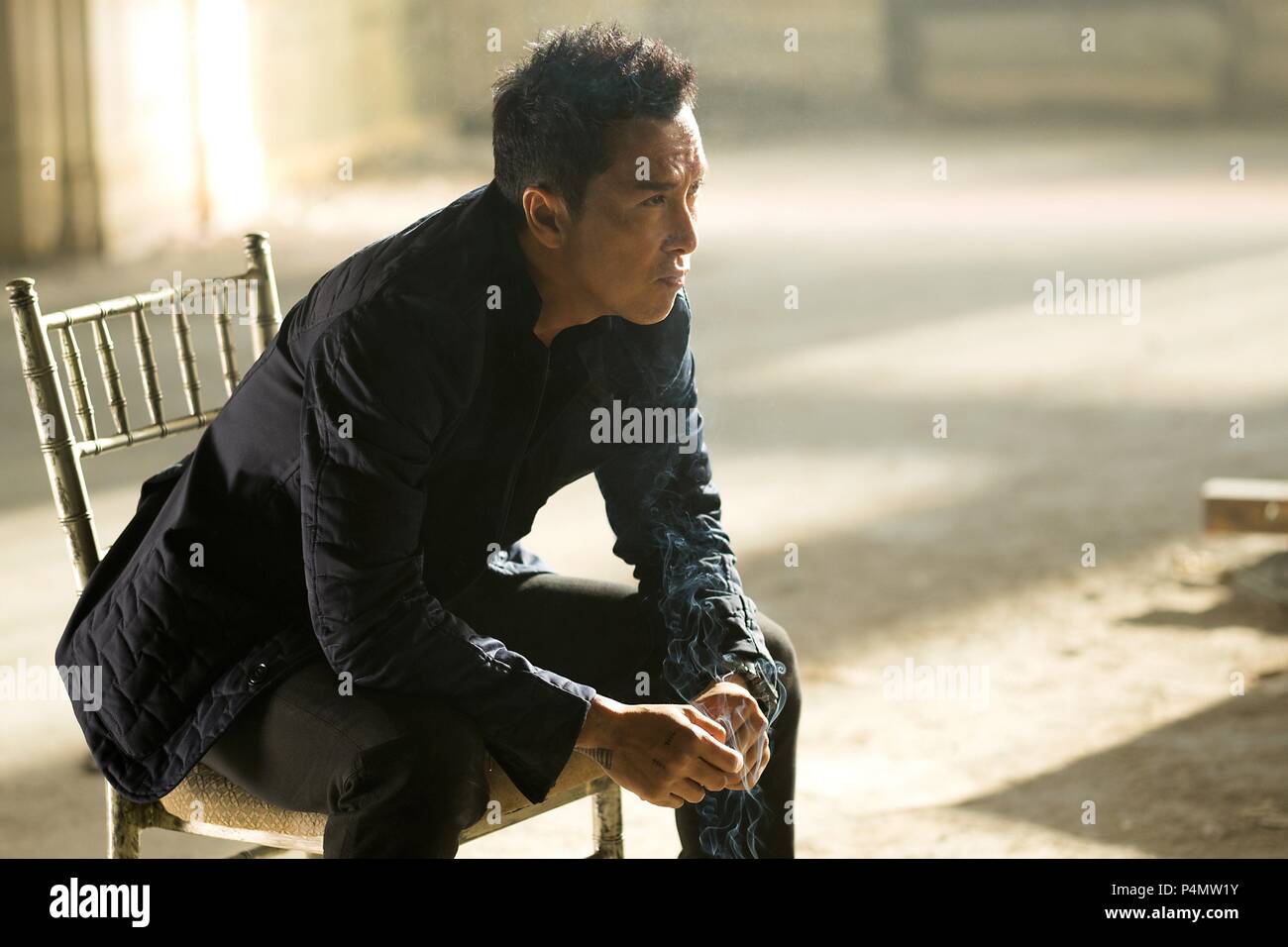 Original Film Title: XXX: THE RETURN OF XANDER CAGE. English Title: XXX ...