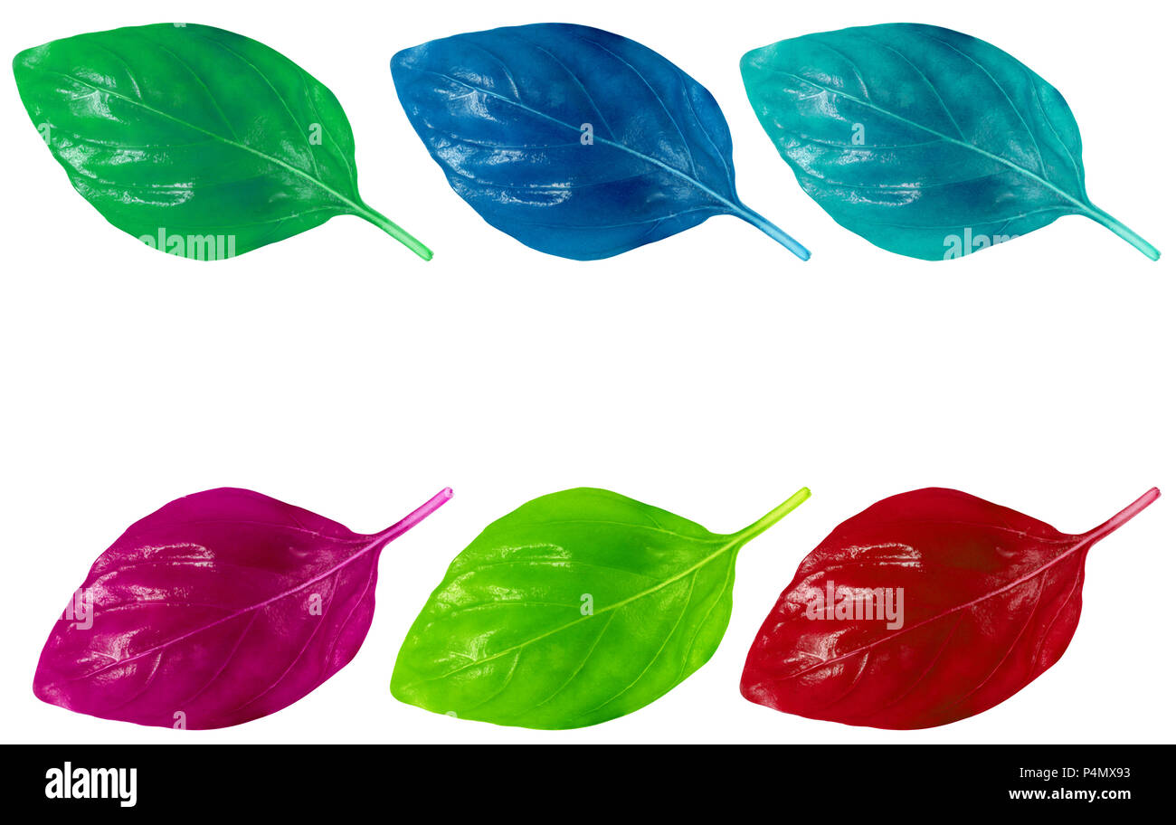 Abstract background of colored, Colorful background of leaves, leaf ...