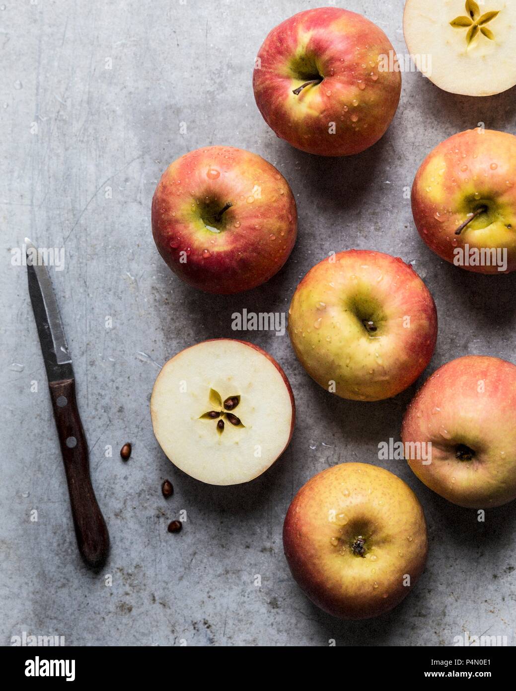 Malus malus royalty hi-res stock photography and images - Alamy