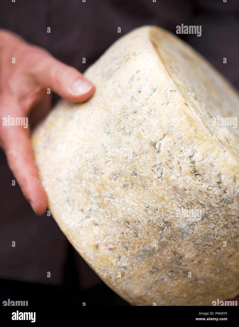 Cheese milawa victoria hi-res stock photography and images - Alamy