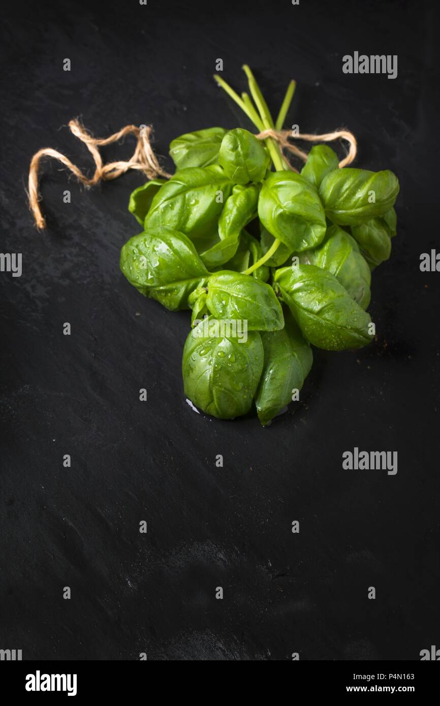 Bunch of fresh basil over wet dark stone bakground Stock Photo - Alamy