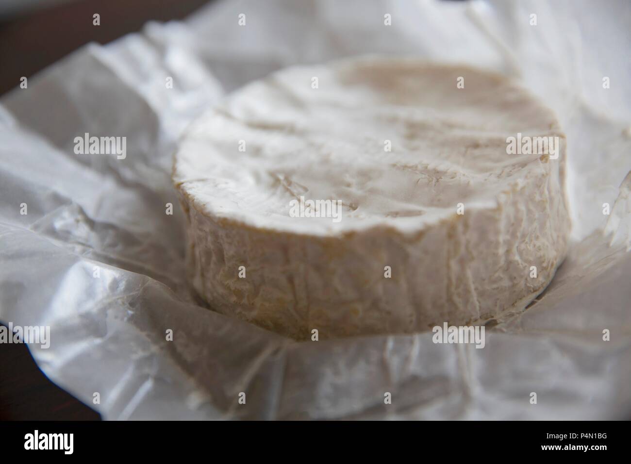 Brie cheeses hi-res stock photography and images - Alamy