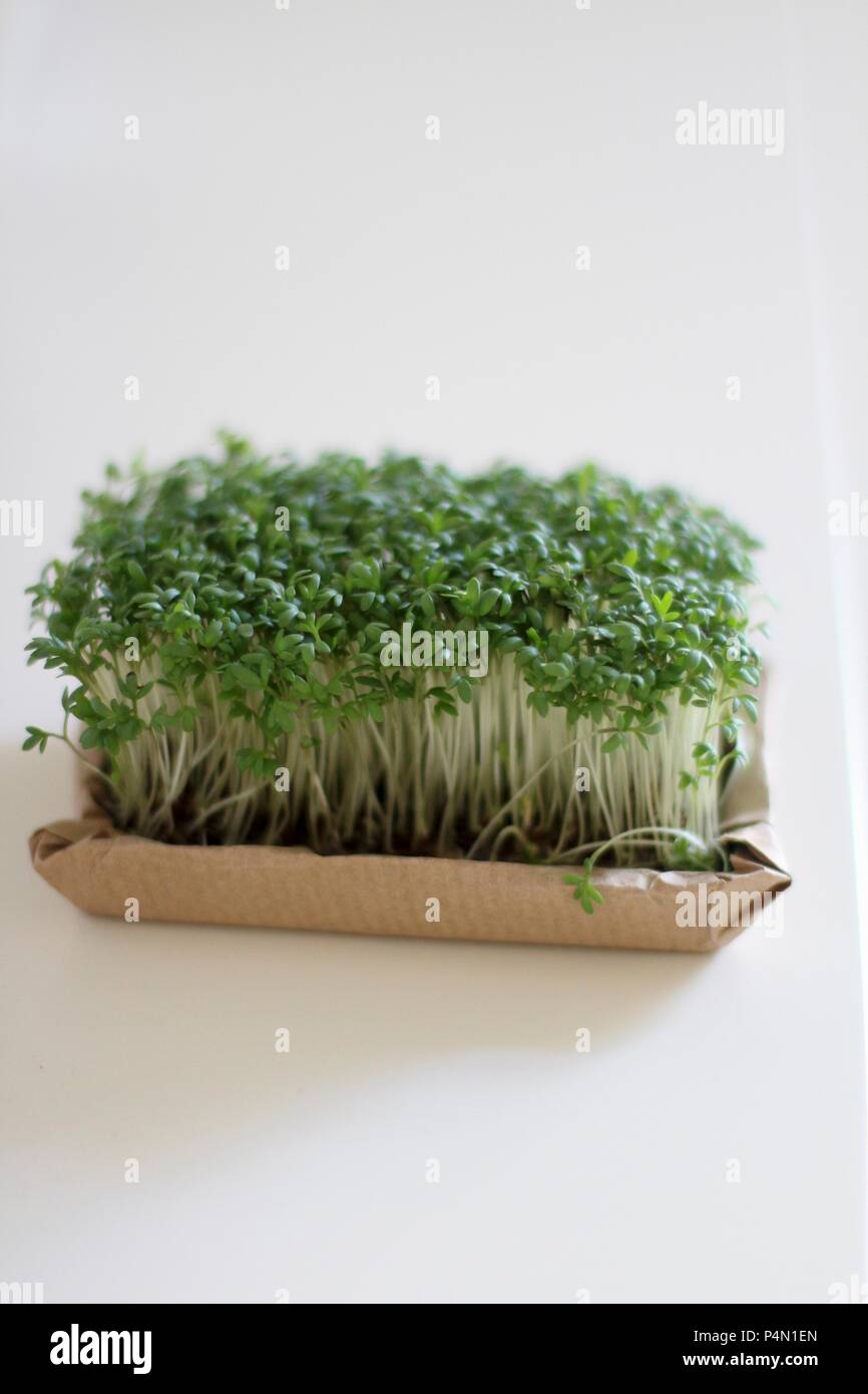 Cut cress hi-res stock photography and images - Alamy