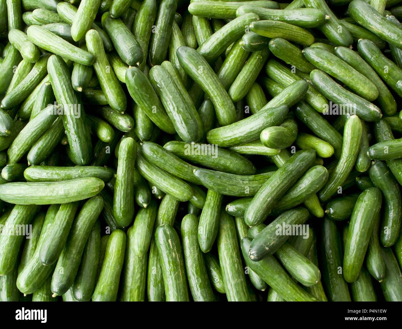 Mini cucumbers (full frame Stock Photo - Alamy