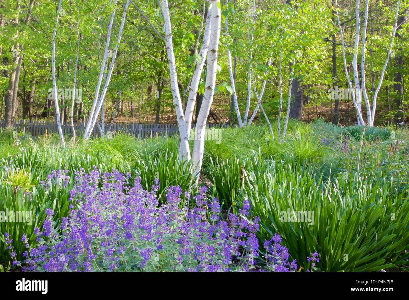 Nature Center Entrance Stock Photo - Alamy