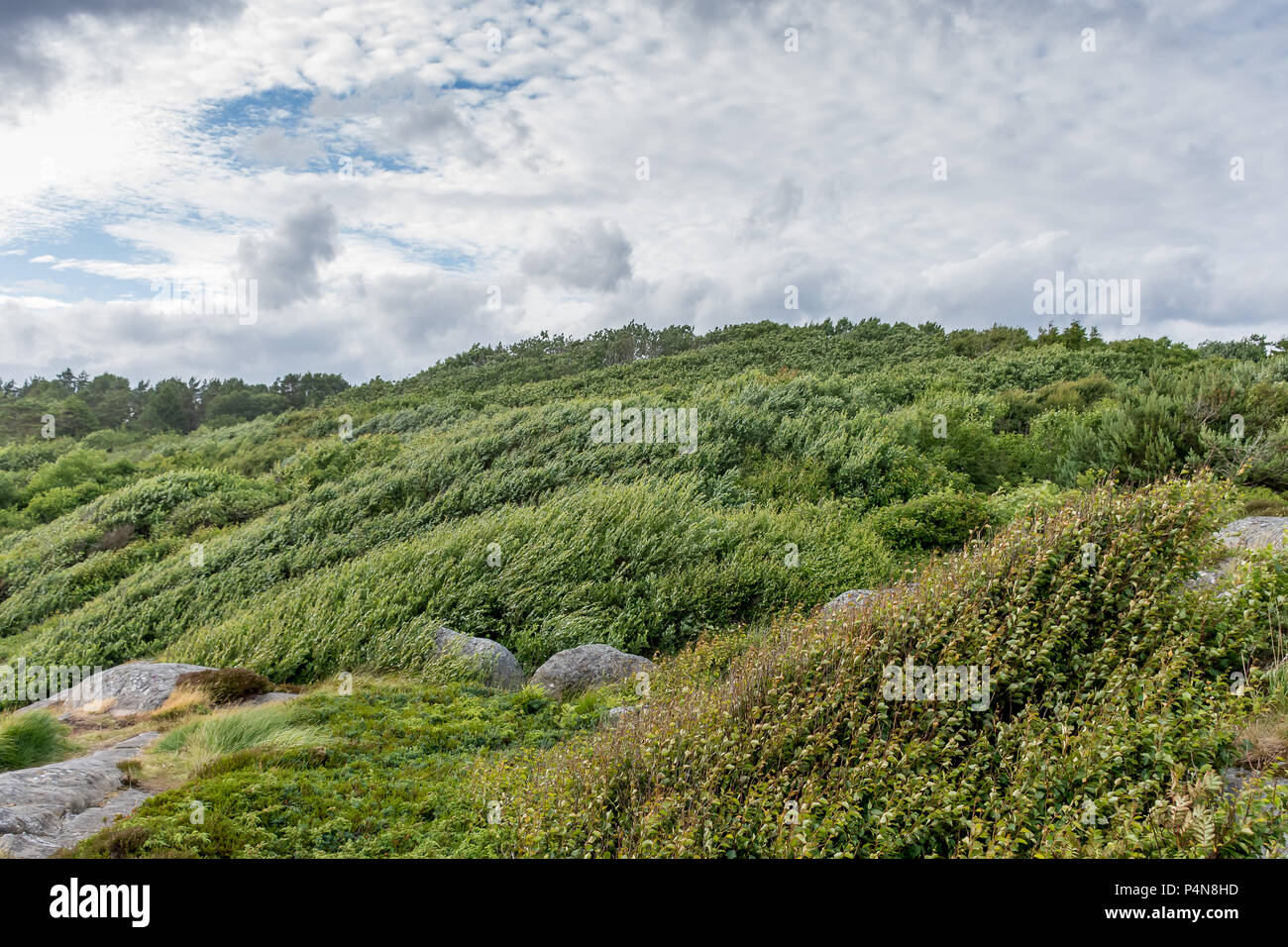 Raet norway hi-res stock photography and images - Alamy