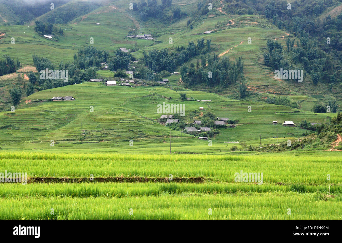 Landscape with rice fields and small villages in the mountains of Sapa ...