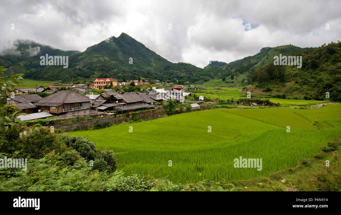Traditional Vietnamese village with rice fields in the countryside of ...