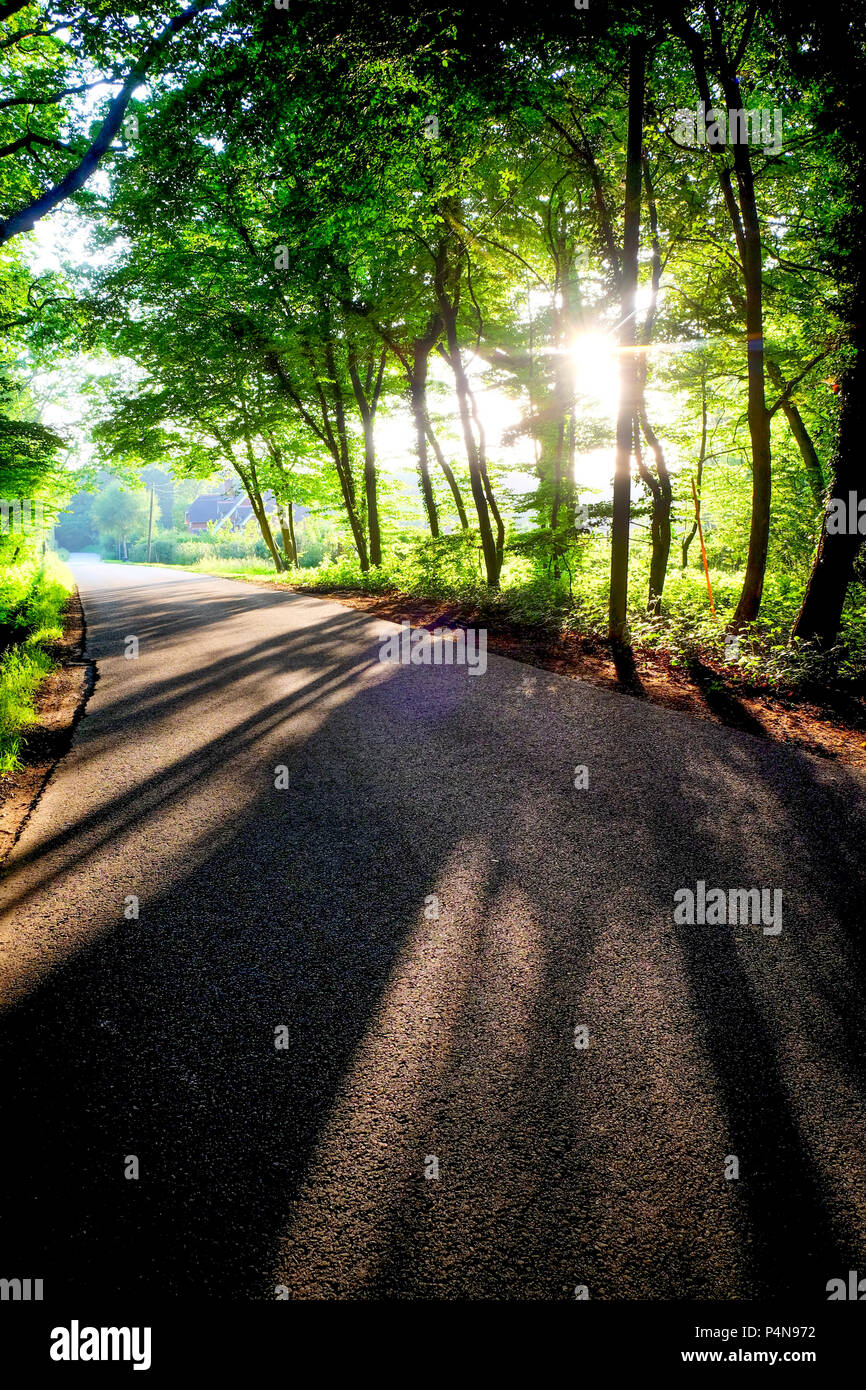 A British country lane in summer time with a curve to the left, green ...