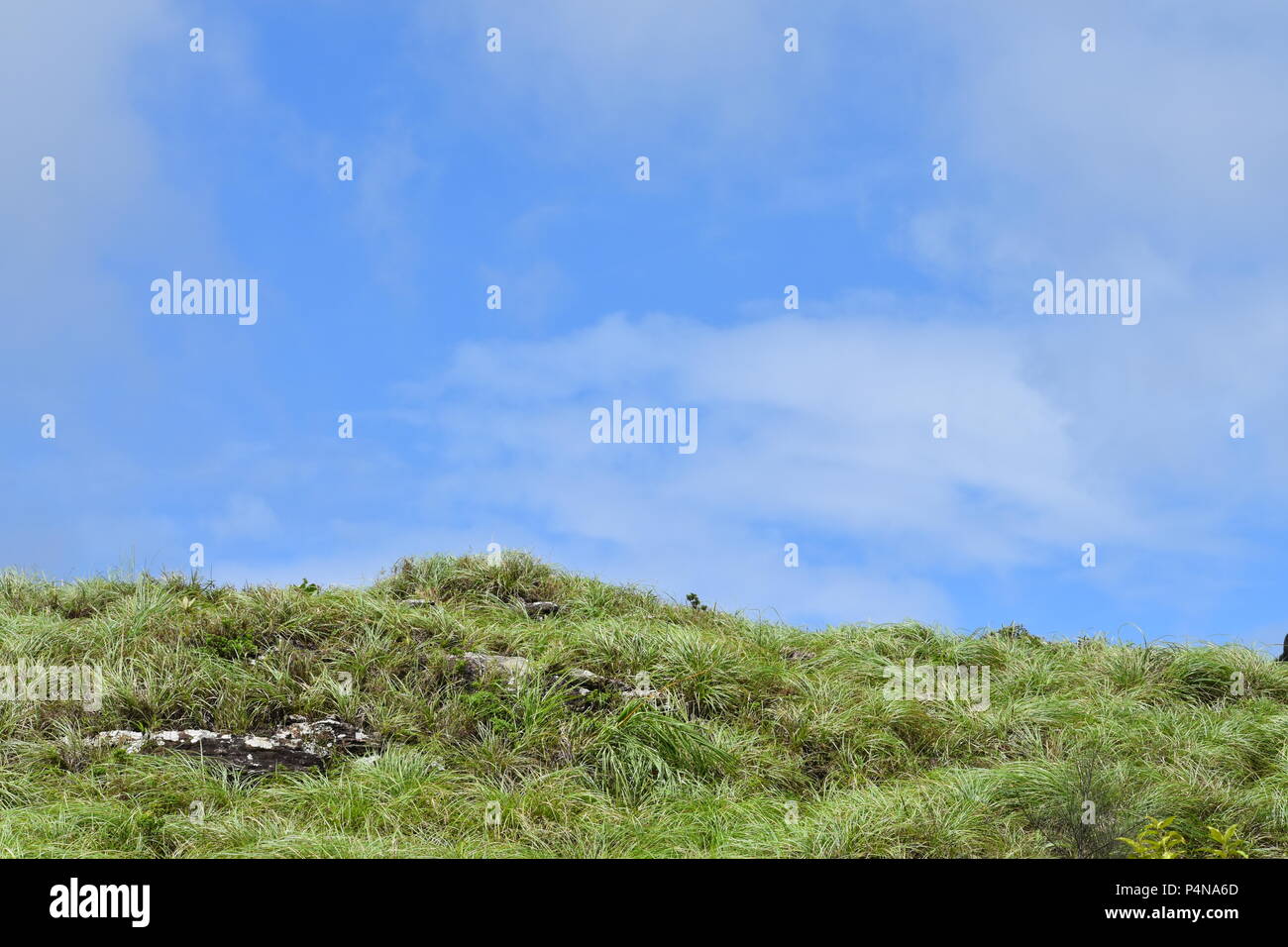 Ponmudi Hill station Stock Photo - Alamy