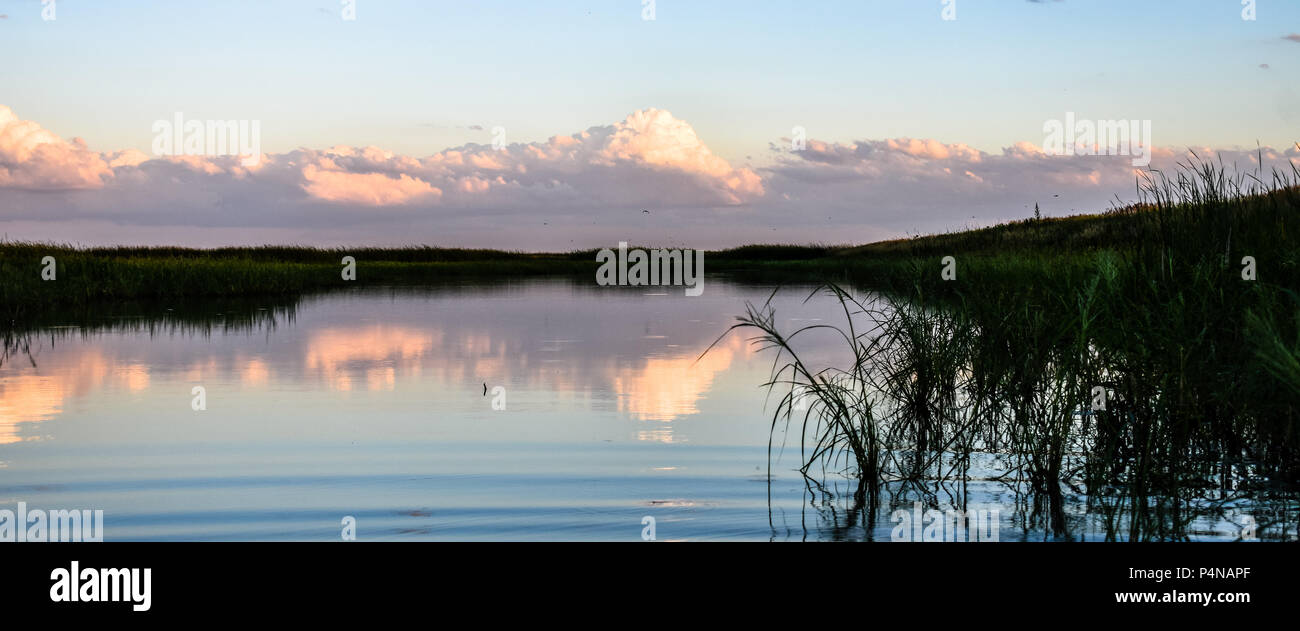 Marshmire hi-res stock photography and images - Alamy