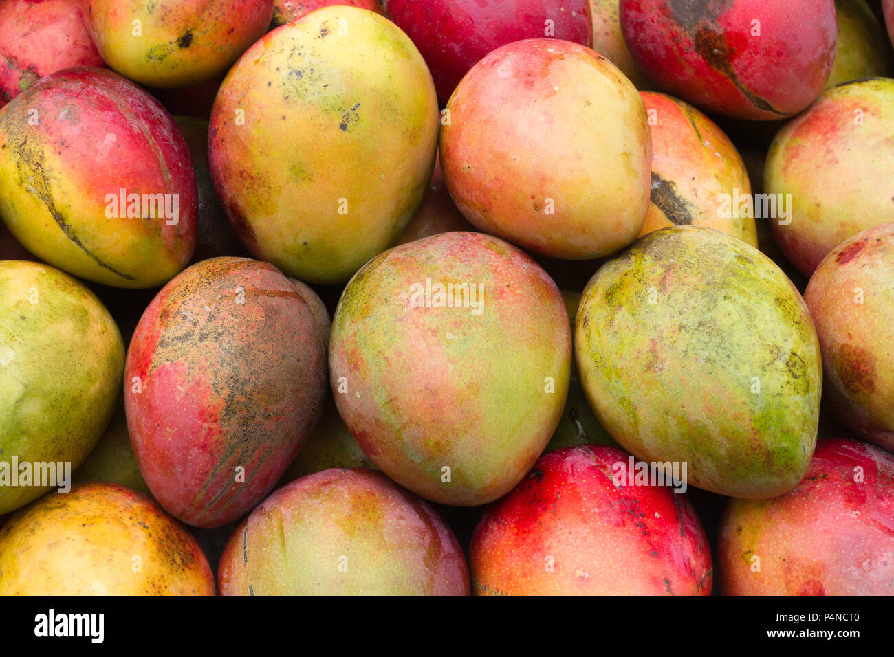 bunch of mangoes in the market square viewed from up close Stock Photo ...