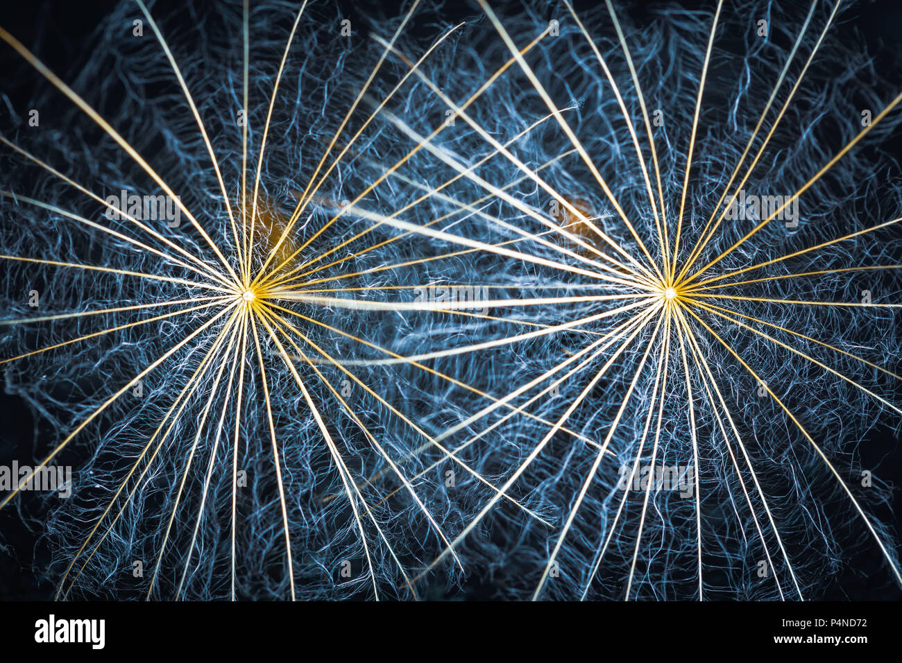 Triangles Are The Strongest Shape In Nature at Gerard Becker blog