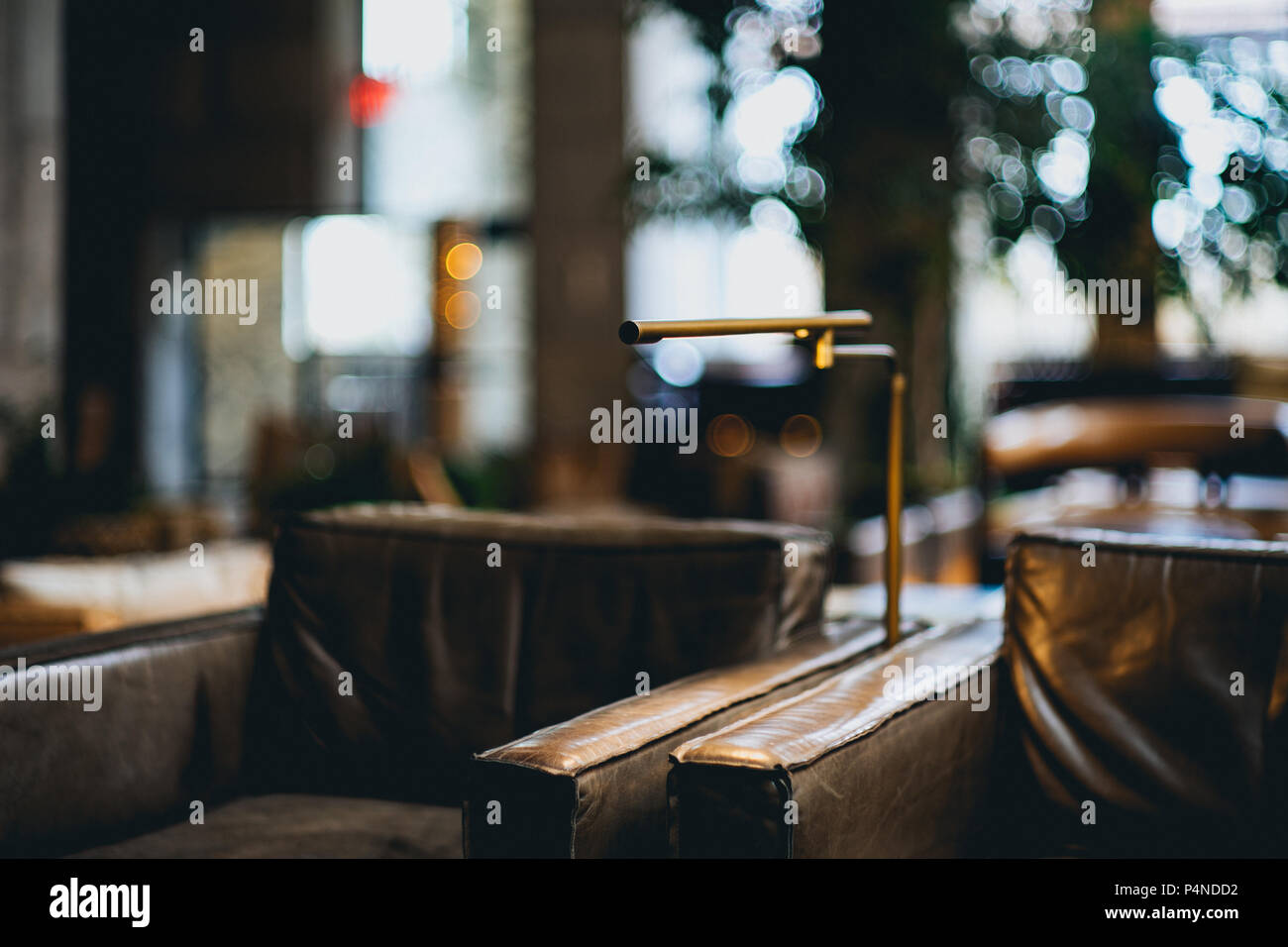 Cozy interior with a reading lamp in between two leather single person ...