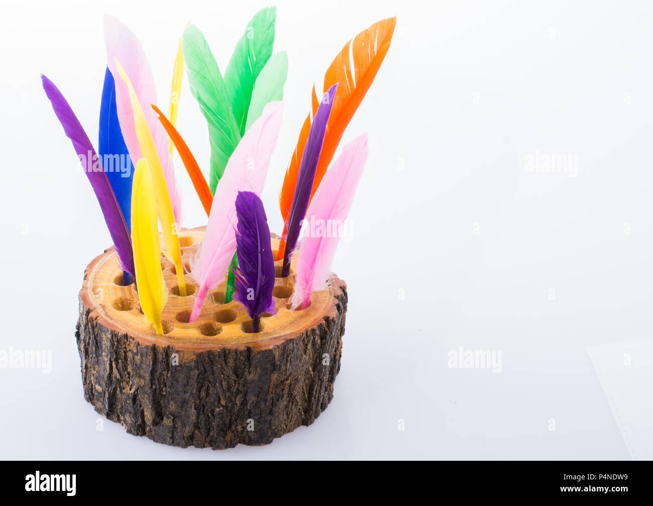 Collection of bright colored feathers on a wooden log Stock Photo - Alamy