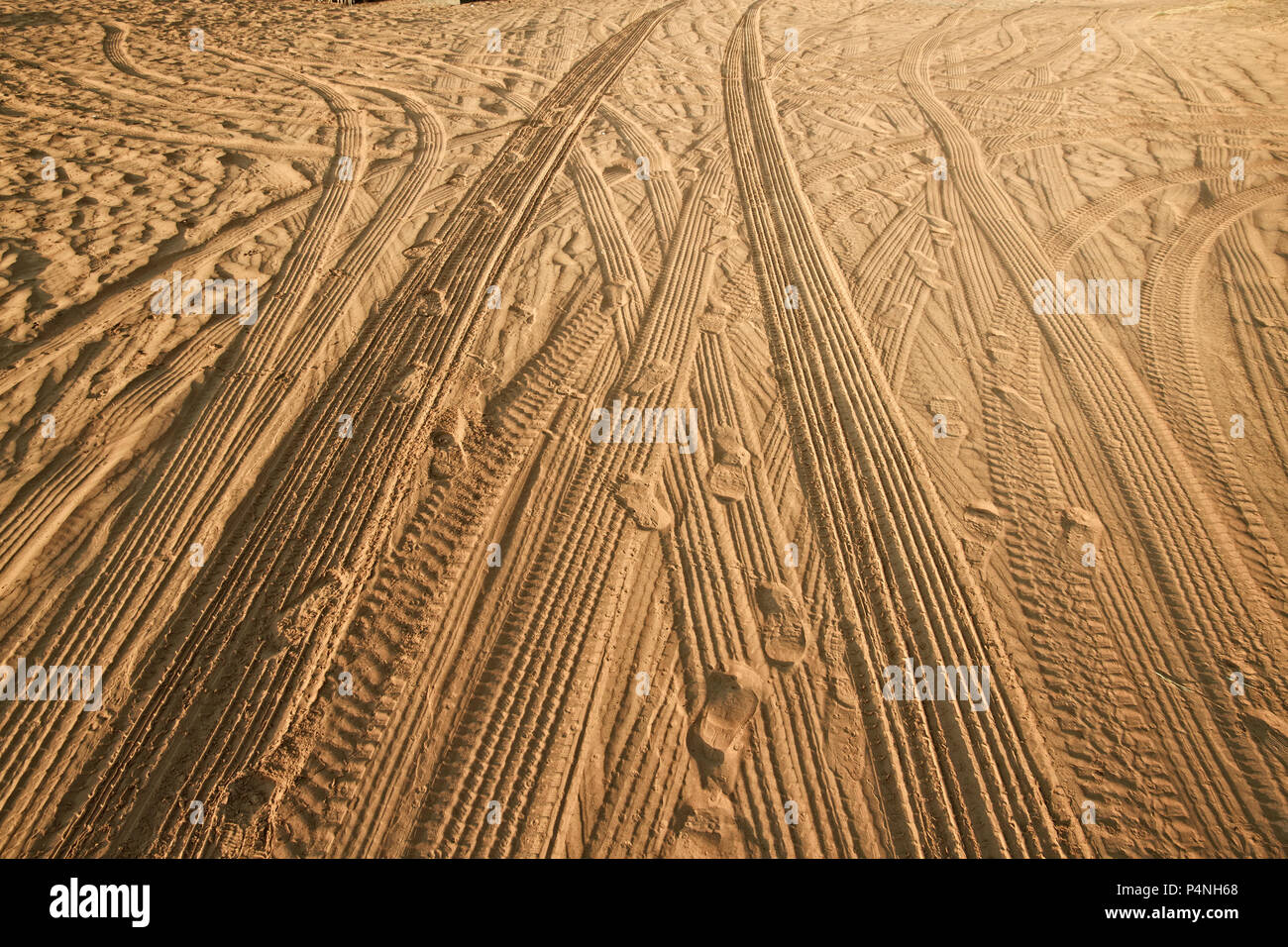 Tracks of cars on the sand in the desert Stock Photo - Alamy