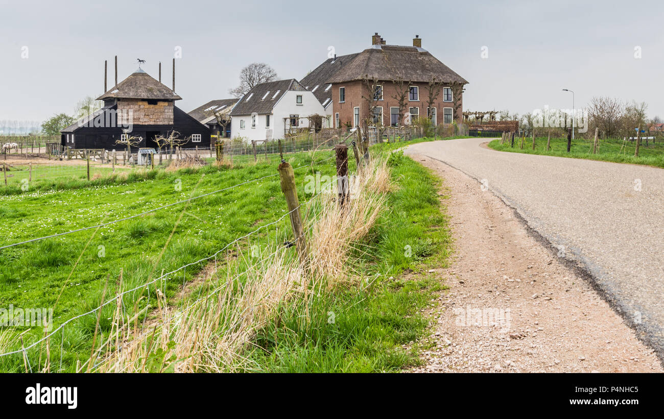 Tradiitional Dutch farmhouse and haystack near Maurik in the ...