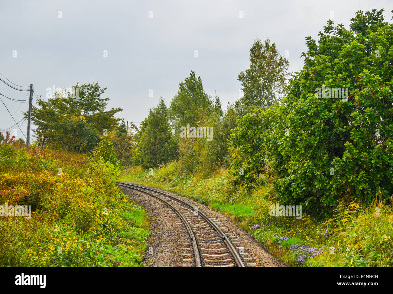 Rail track with many trees at countryside in Hokkaido, Japan Stock ...