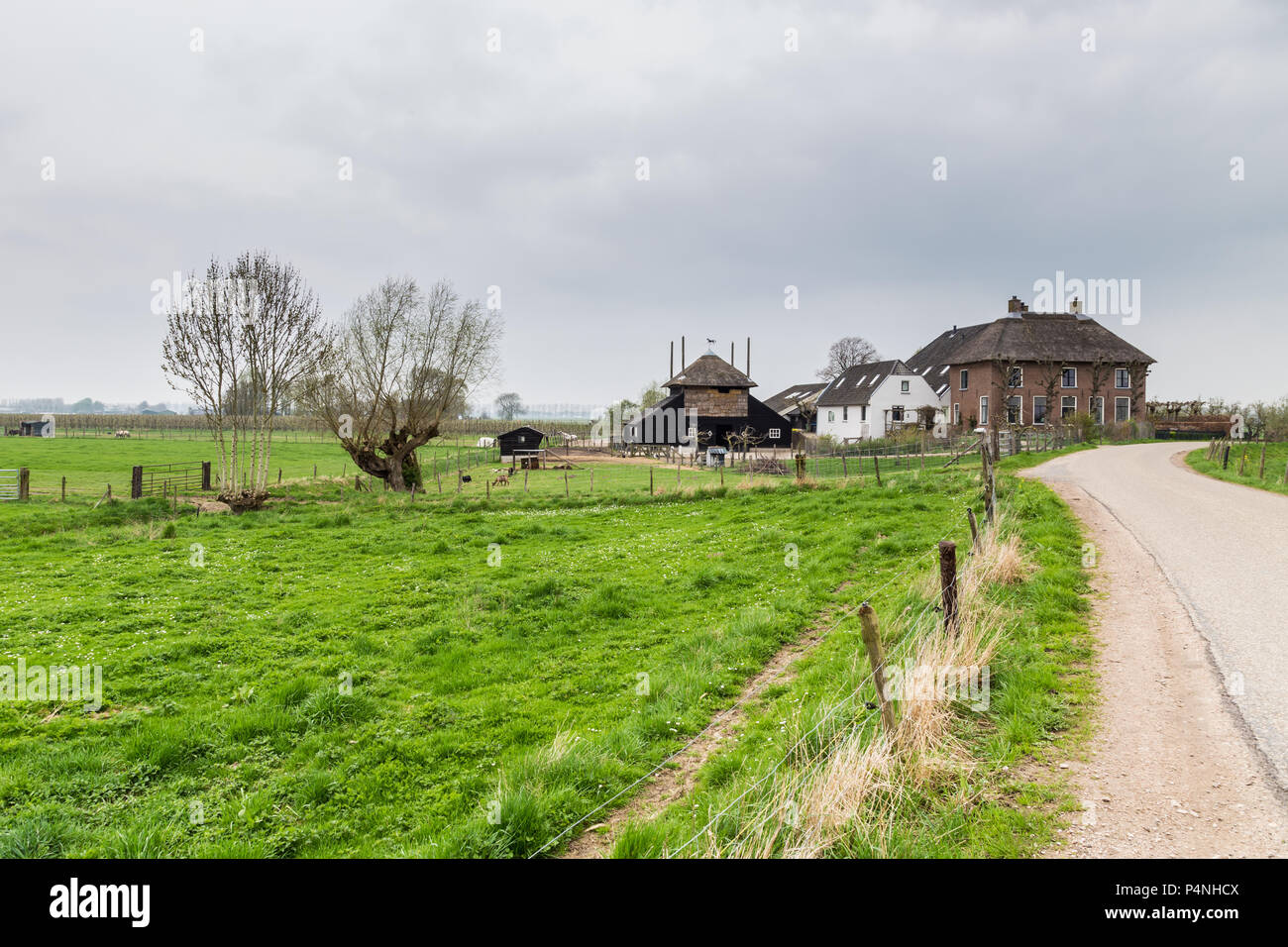 Tradiitional Dutch farmhouse and haystack near Maurik in the ...