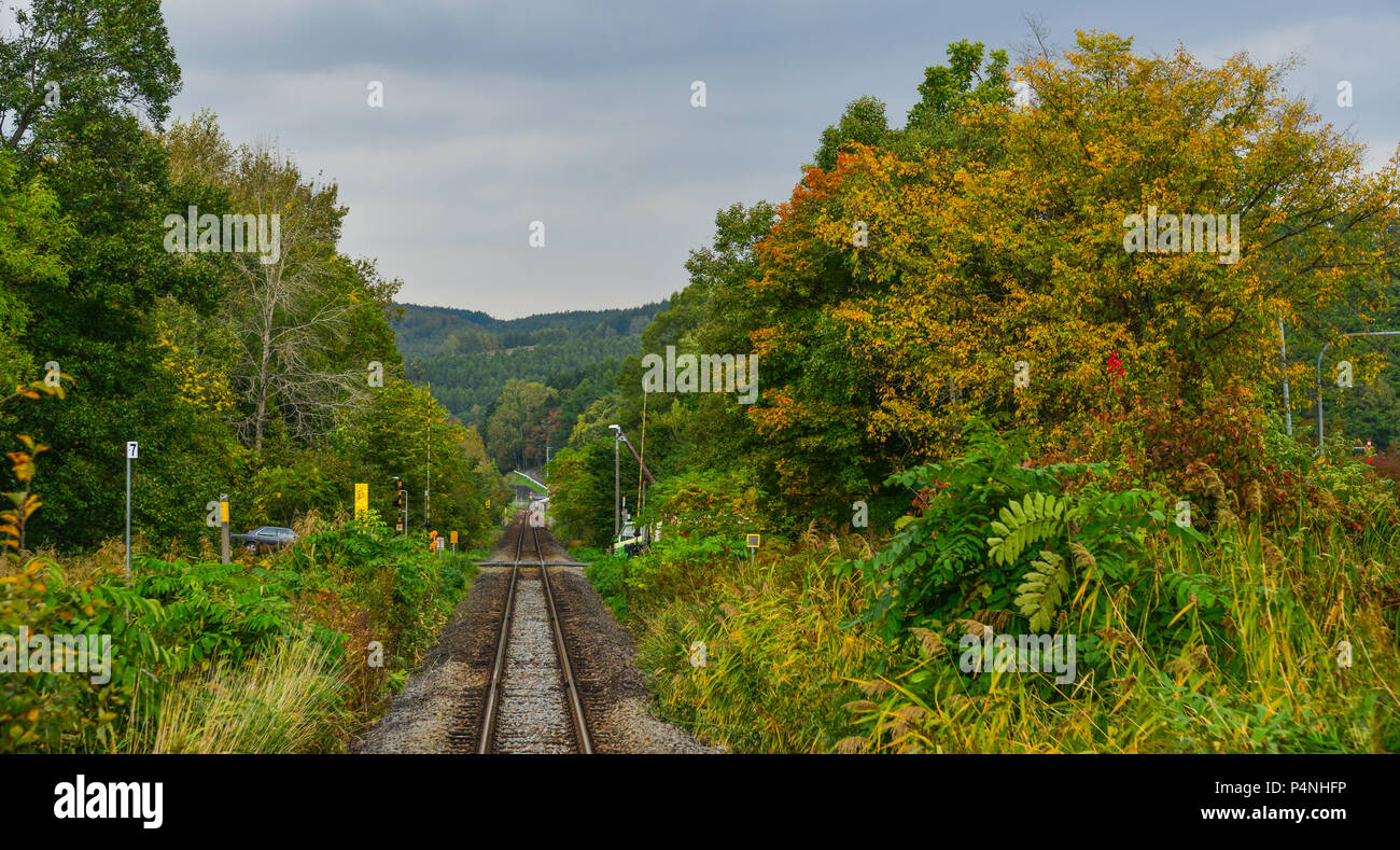 Rail track with many trees at countryside in Hokkaido, Japan Stock ...