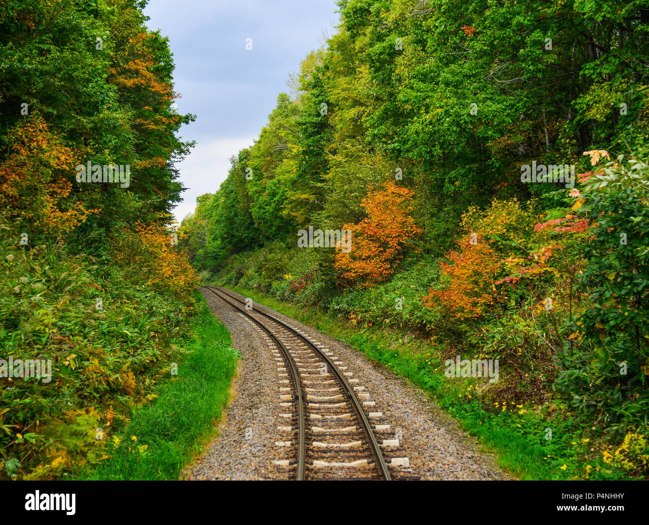 Rail track with many trees at countryside in Hokkaido, Japan Stock ...