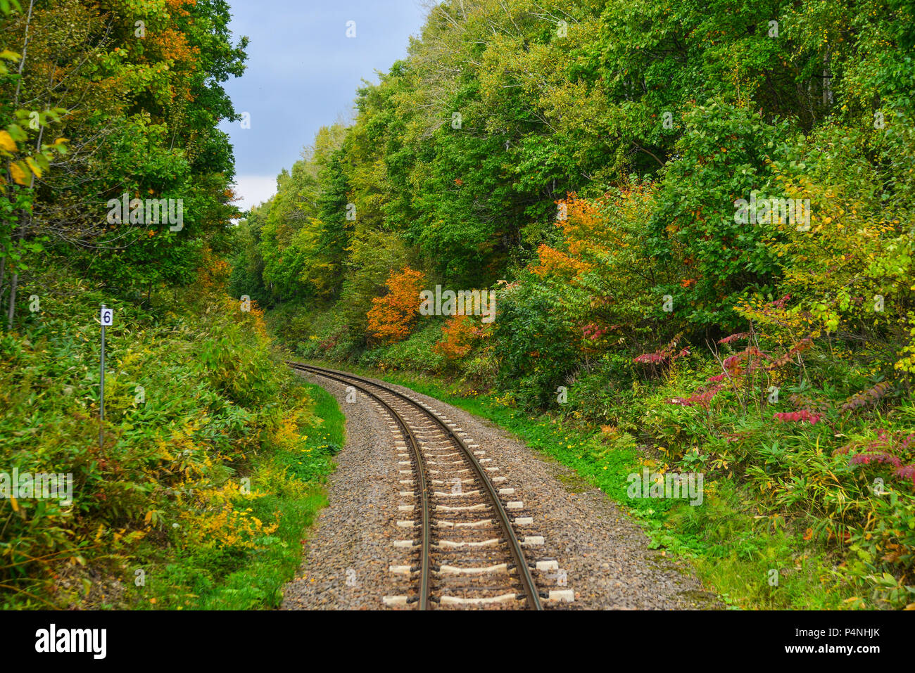 Rail track with many trees at countryside in Hokkaido, Japan Stock ...