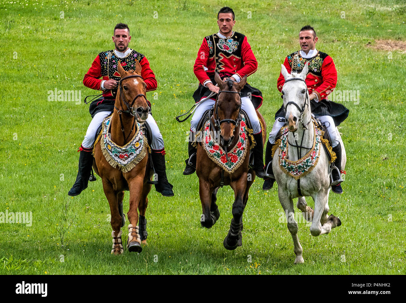 Sardinia festival cavalcata sarda hi-res stock photography and images ...