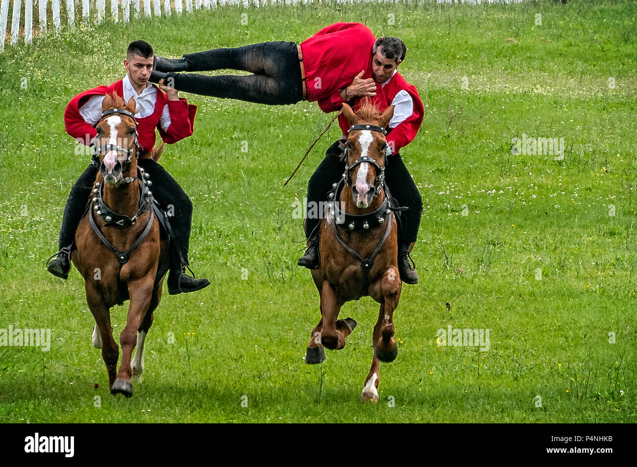 Cavalcata costumes hi-res stock photography and images - Alamy