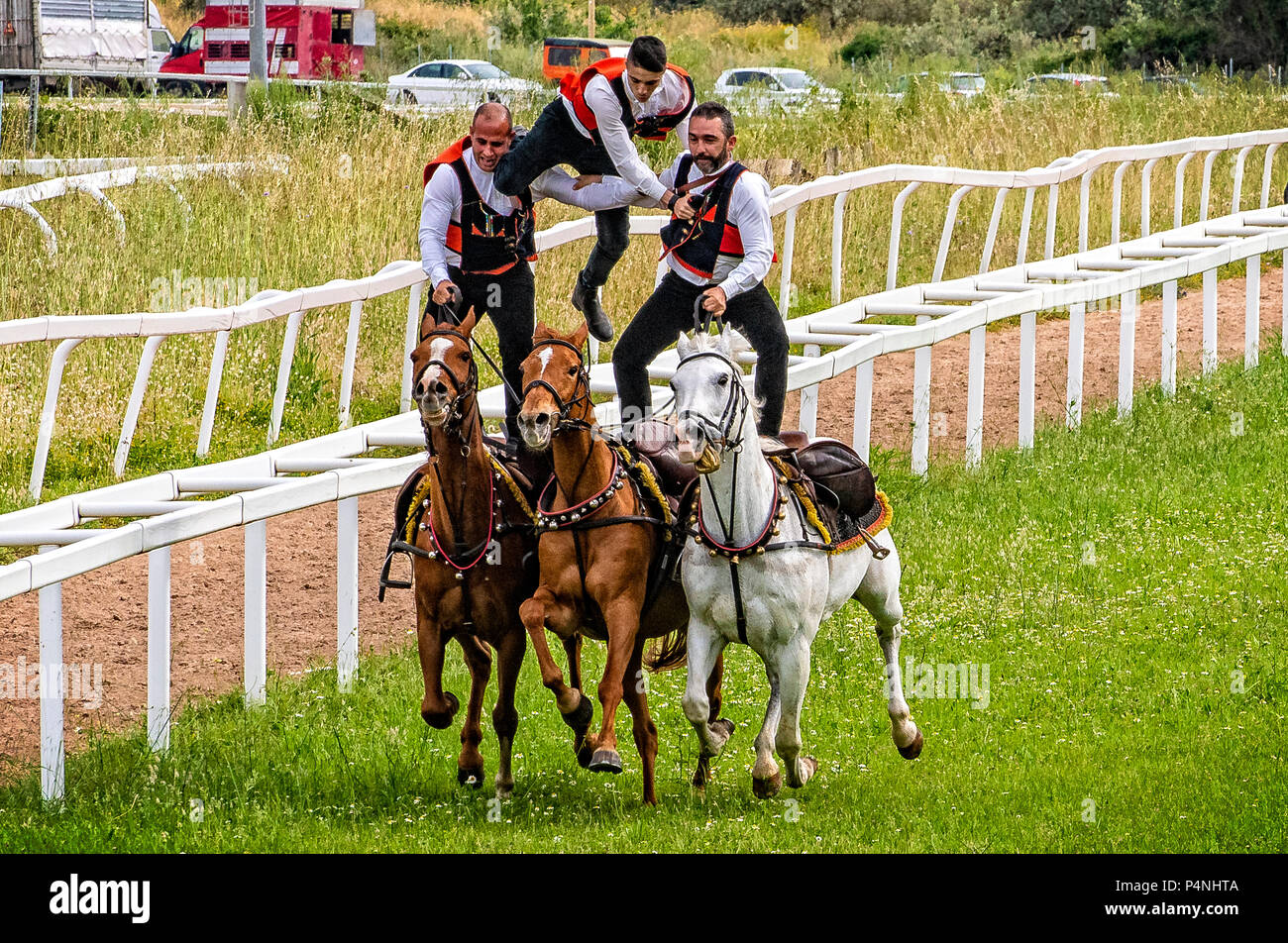 Italy Sardinia Sassari " Cavalcata Sarda " Festival Stock Photo - Alamy