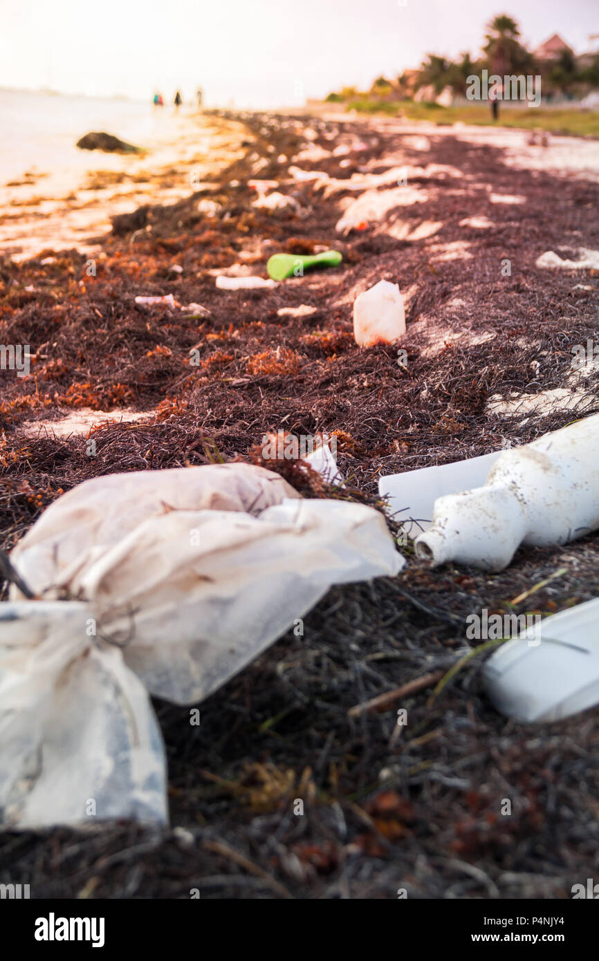 Caribbean plastic pollution hi-res stock photography and images - Alamy