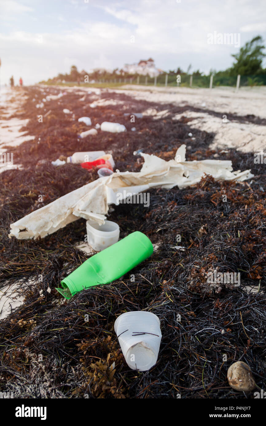 Plastic Bottles Pollution and Seaweeds on Sandy Caribbean Beach Stock ...