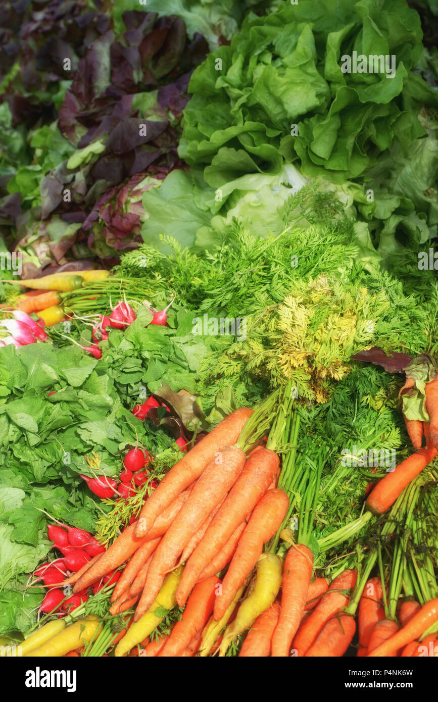 Healthy vegetarian food on display at the local fresh food market in Le ...