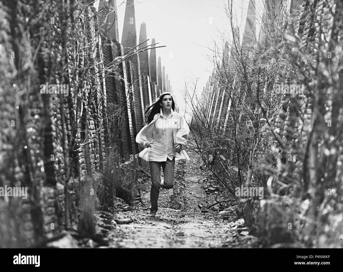 Original Film Title: LABYRINTH. English Title: LABYRINTH. Film Director ...