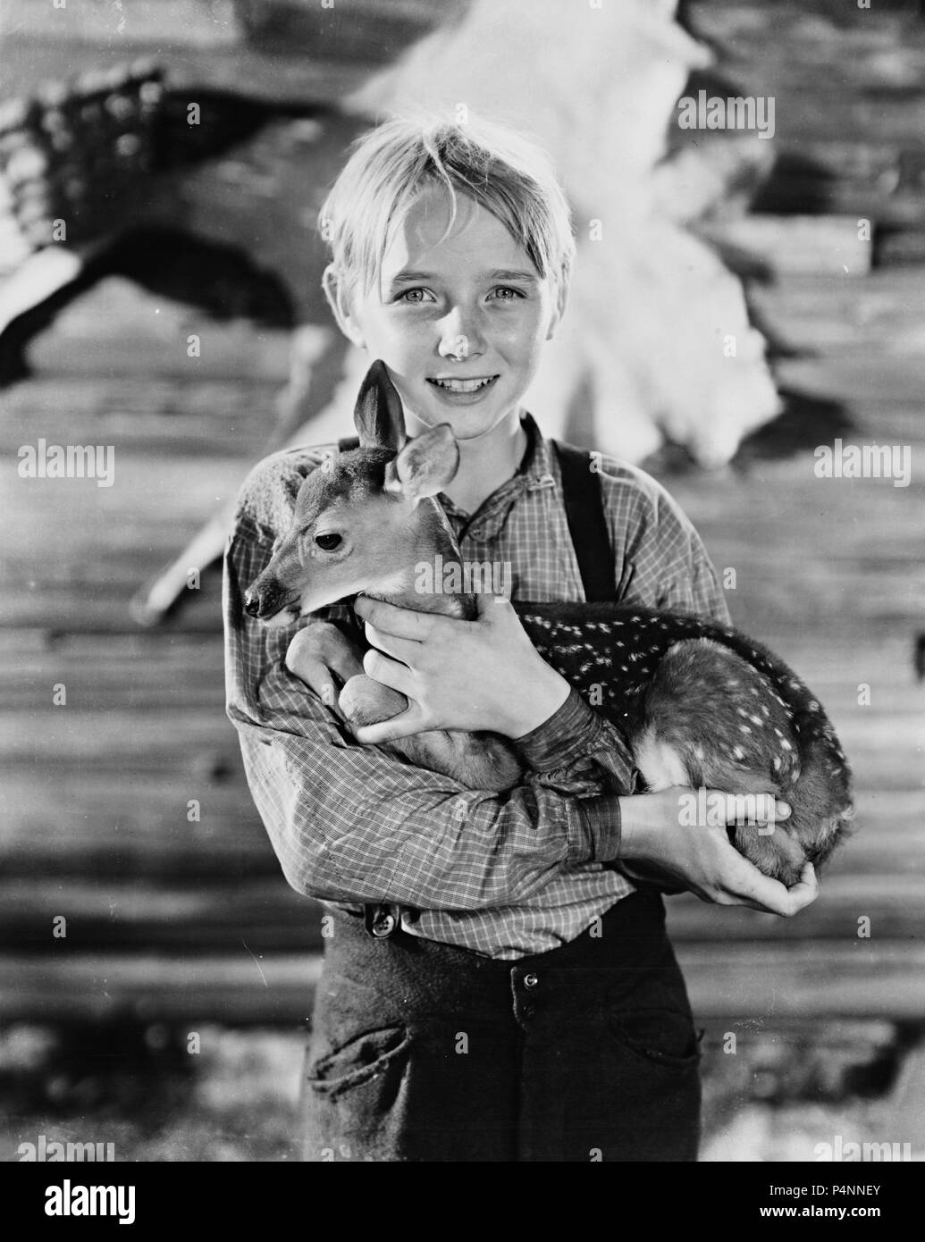 Original Film Title: THE YEARLING. English Title: THE YEARLING. Film ...